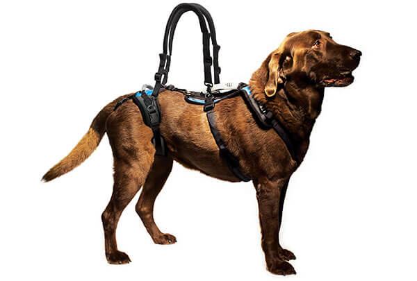 Help 'Em Up Harness - Loop Handles (Set of 2)