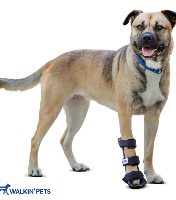 Leg braces and splints