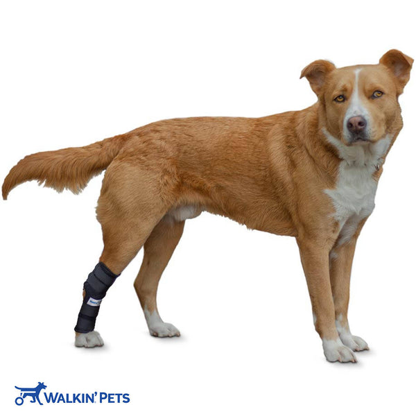 Walkin’® Hock Hugger - Ankle support brace