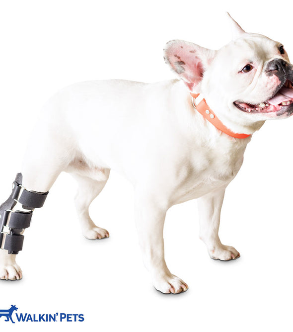 Leg braces and splints